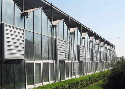 Modern Garden Glass Panels Lean To Prefabricated Manufacturer Walk In