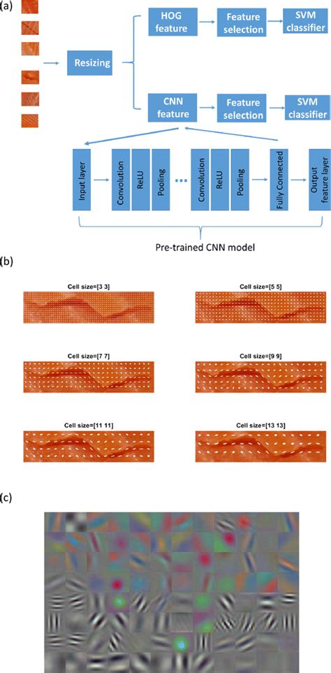Description Of Hog And Cnn Feature Extraction A Basic Steps For Hog