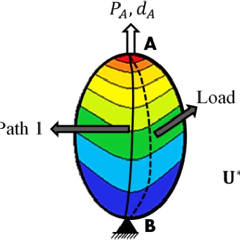 u distribution and different load paths path 1 connecting points