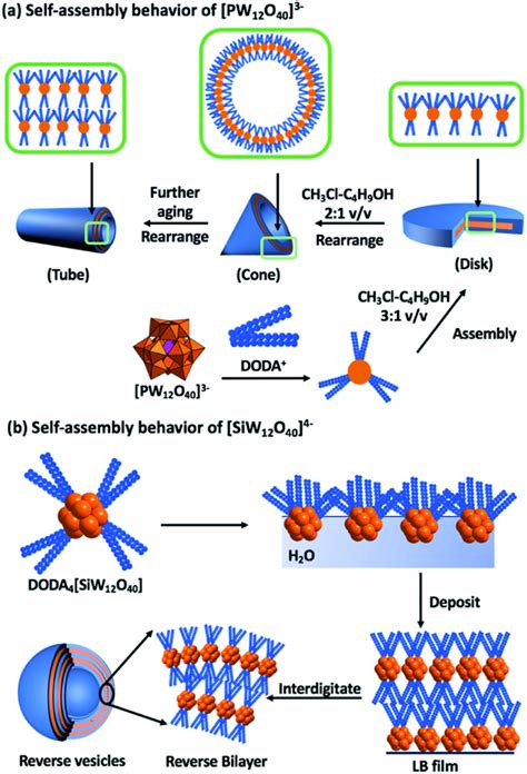 Graphical Representation Of The Eu Containing Core Shell Nanoparticles Download Scientific