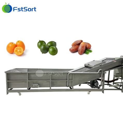 High Quality Jujube Grader Dates Washing Sorting Line Kumquat Cleaning