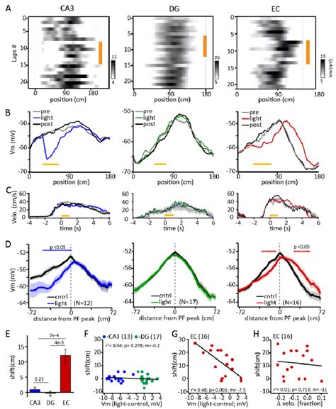 Involvement Of Different Input Pathways In Pf Activity A Spatial