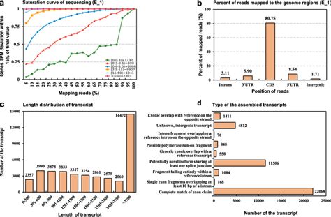 Sequencing Results An Example Of The Sequencing Saturation A And