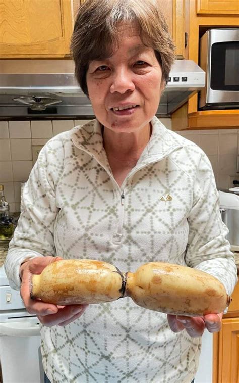 What Is Lotus Root 蓮藕 Healthy Nibbles By Lisa Lin