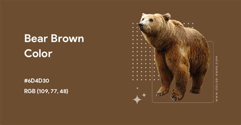 Brown Bear Color Brown Bear Facts Klwzj