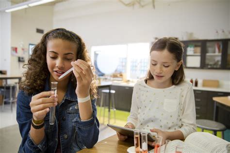 Intro To The Coordinate Plane Toolkit Proactiveed