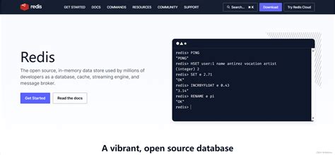 redis 构建缓存服务器 缓存服务器搭建 csdn博客