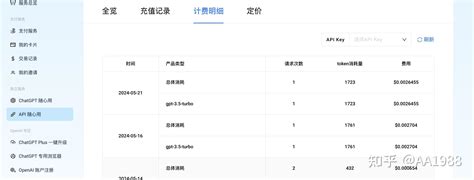 2025最新国内怎么使用GPT4o mini API详细方法 知乎
