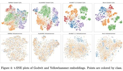 Feature Embeddings From Large Scale Acoustic Bird Classifiers Enable Few Shot Transfer Learning