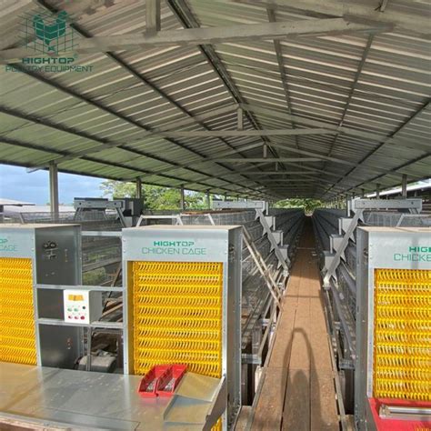 A Type Automatic Egg Poultry Farming Equipment System Battery Layer