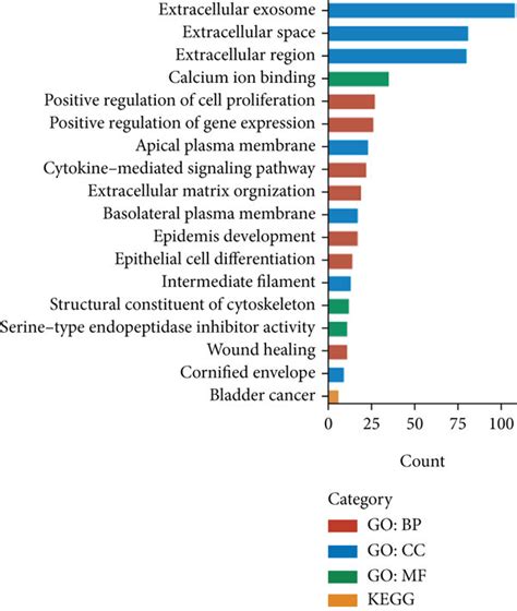 Functional Enrichment And Immune Cell Infiltration Analyses Based On