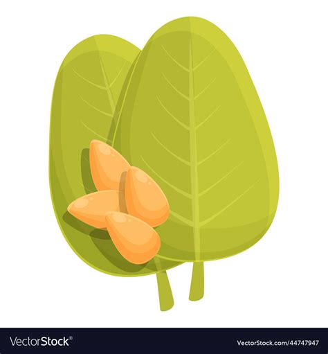 Peanut Leaf Icon Cartoon Swirl Caramel Royalty Free Vector