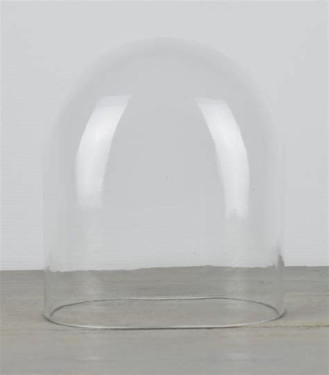 Vintage Look Small Oval Glass Dome With Wooden Base Height 17 Cm
