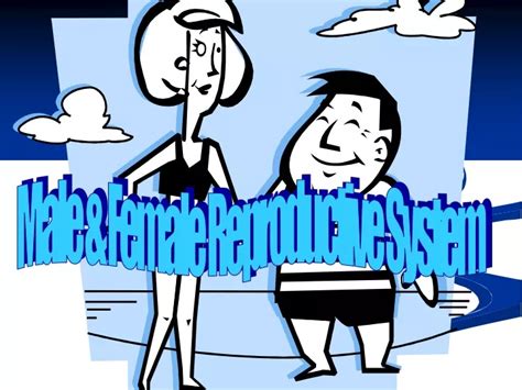 Ppt Male And Female Reproductive System Powerpoint Presentation Free