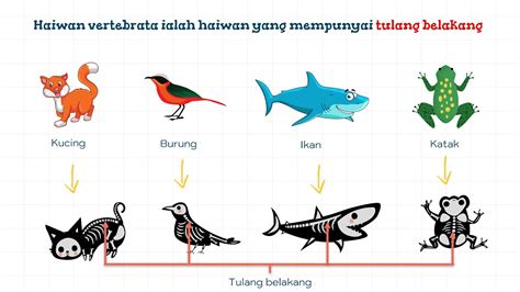 Hewan Vertebrata Dan Avertebrata Invertebrata Codeaid Net Riset