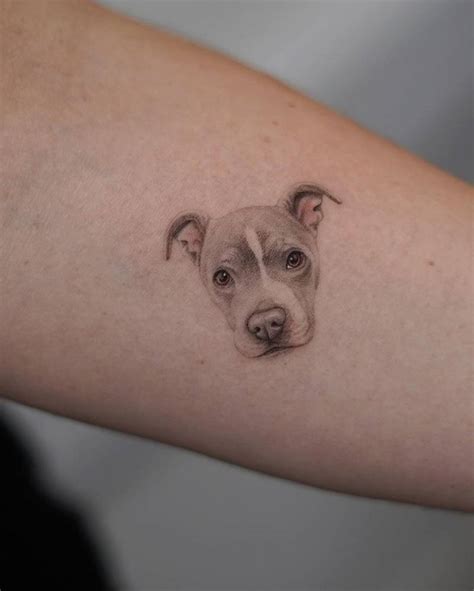 Micro Realistic Style Pit Bull Portrait Tattoo Done On