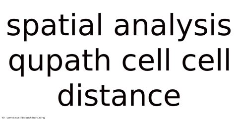 Spatial Analysis Qupath Cell Cell Distance