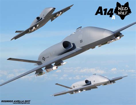 A14 A Wild Wolf Behance