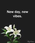 100 Best Happy Tuesday Images And Greetings Share The Vibe Tiny Positive