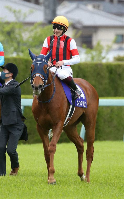 天皇賞・春で5着の横山武騎手騎乗のウインマリリン （撮影・亀井 直樹） ― スポニチ Sponichi Annex ギャンブル