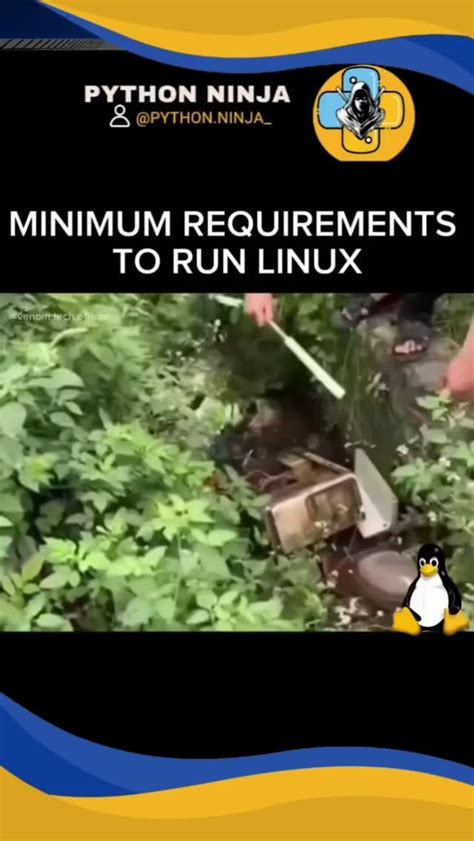 Anuj Malik Ai And Coding Ninjas 🥷 Pythonninja • Instagram Photos And