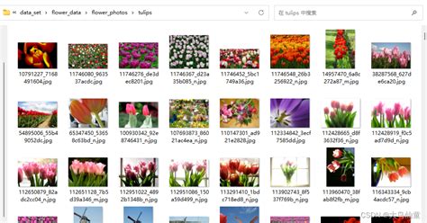 基于diffusion Model的数据增强方法应用——毕业设计 其五defusion Model数据增强 Csdn博客