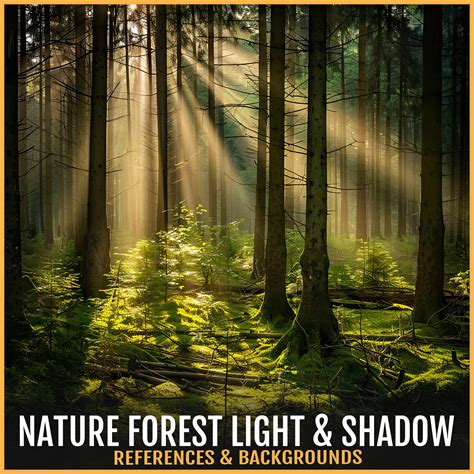 Artstation 505 Nature Forest Light And Shadow