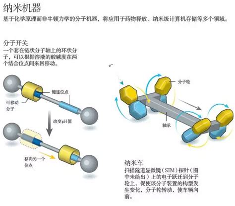 分子组装器 全球百科