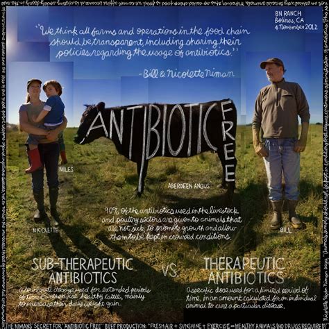 Slow Food Usa What Does Antibiotic Free Mean And Why Does It Matter