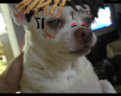 Jah Dog Jah Dog Rxxxtentacion