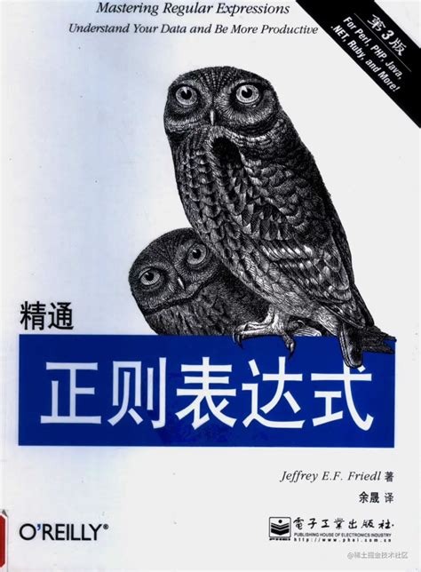 《精通正则表达式》pdf 下载《精通正则表达式》 链接 S18nhdlo 掘金