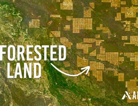 A Guide On Ndvi Ndwi And Derived Bands Arlula