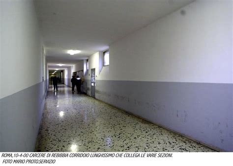 Emergenza Influenza A Nelle Carceri Vaccinati Tutti I Detenuti Di