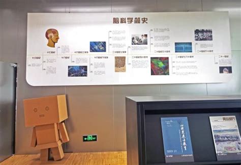了解脑科学前世今生、体验互动新成果 来上图东馆一起“追问大脑”