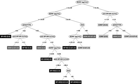 Data Mining Decision Tree Analysis Was Carried Out To Generate