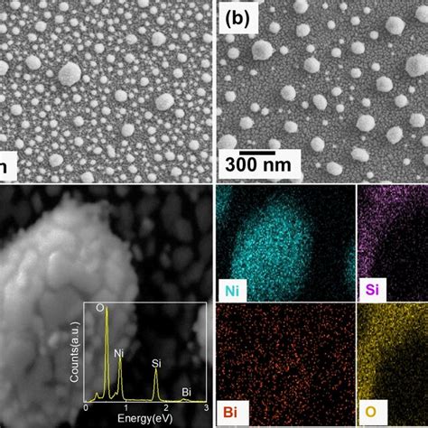 A And B Sem Image Of The Ni Nanoparticles Formed By Thermal Dewetting Download Scientific