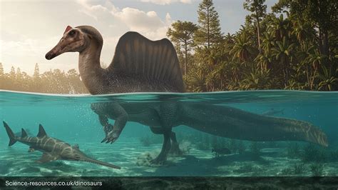Science Uk Dinosaurs Spinosaurus
