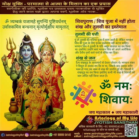 Best Astrologer In Delhi India Jyotish Astrology Palmistry