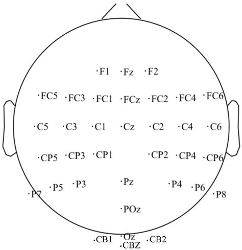 brain sciences free full text identification and verification of
