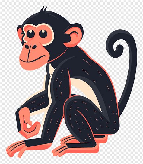 Monkey Png Pngwing