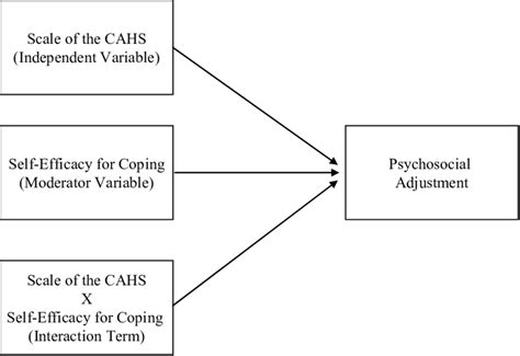 Model To Test The Moderating Effect Of Self Efficacy For Coping Download Scientific Diagram