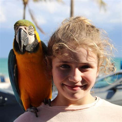 Cookie Princess Youtube