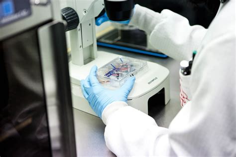 Los comités de ética de la investigación biomédica de Andalucía acuerdan líneas de mejora y