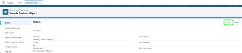 Edit Custom Object Salesforce Example