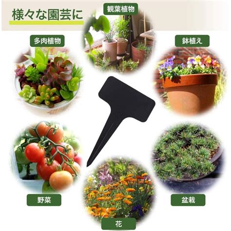 園芸ラベル 園芸用ラベル 植物タグ 園芸 花壇 鉢植 ガーデニング 100枚セット ブラック Ab 0049 日用品総合ショップ