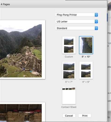Print Multiple Photos To One Page In Photos For Mac