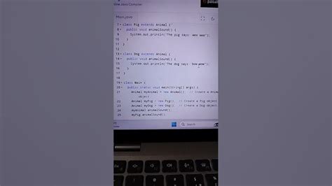 Polymorphism In Java Learn From Basics 👍 Programming Java