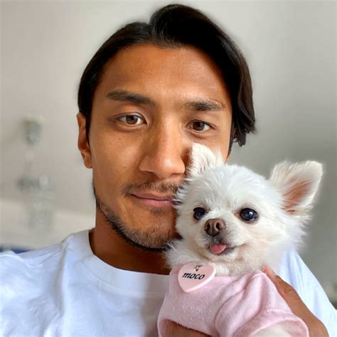 トイプードルを飼っている芸能人有名人54選・男性女性別！衝撃順ランキング【最新決定版2025】 Ranky ランキー ｜女子が気になる