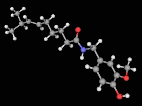 Capsaicin Molecule Photograph By Laguna Design Science Photo Library