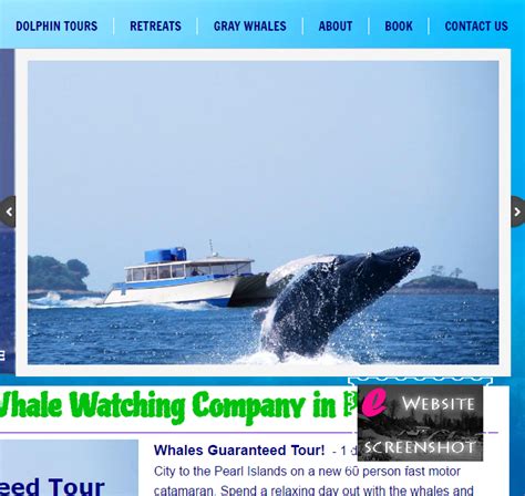 Whale Watching Panama